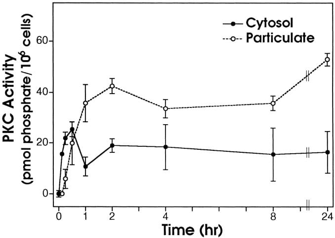 Cytosol/Particulate separation kit – Cypher Genomics