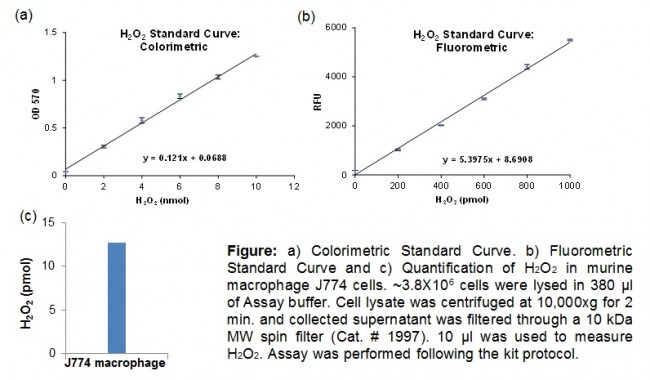 Hydrogen Peroxide Assay kit – Cypher Genomics